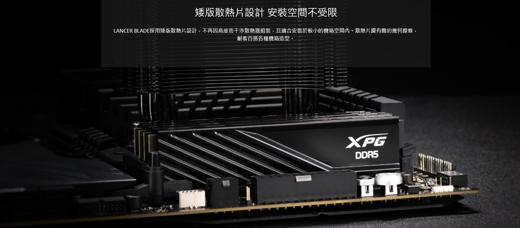 秀津電腦資訊|威剛XPG 64G(雙通32G*2)D5-5600/CL46 LancerBlade矮 黑(AX5U5600C4632G ...